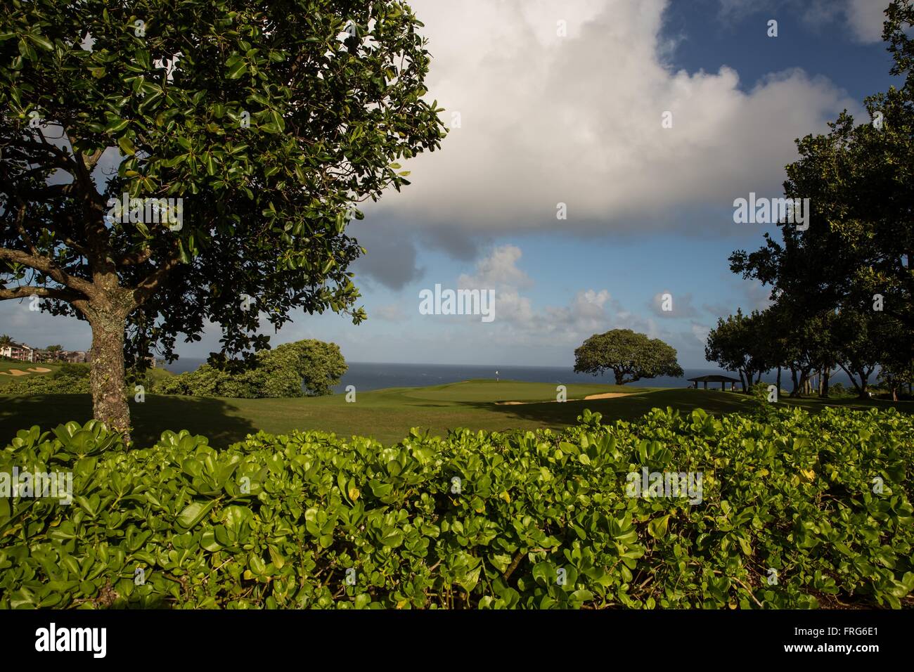 169 years old hi-res stock photography and images - Alamy