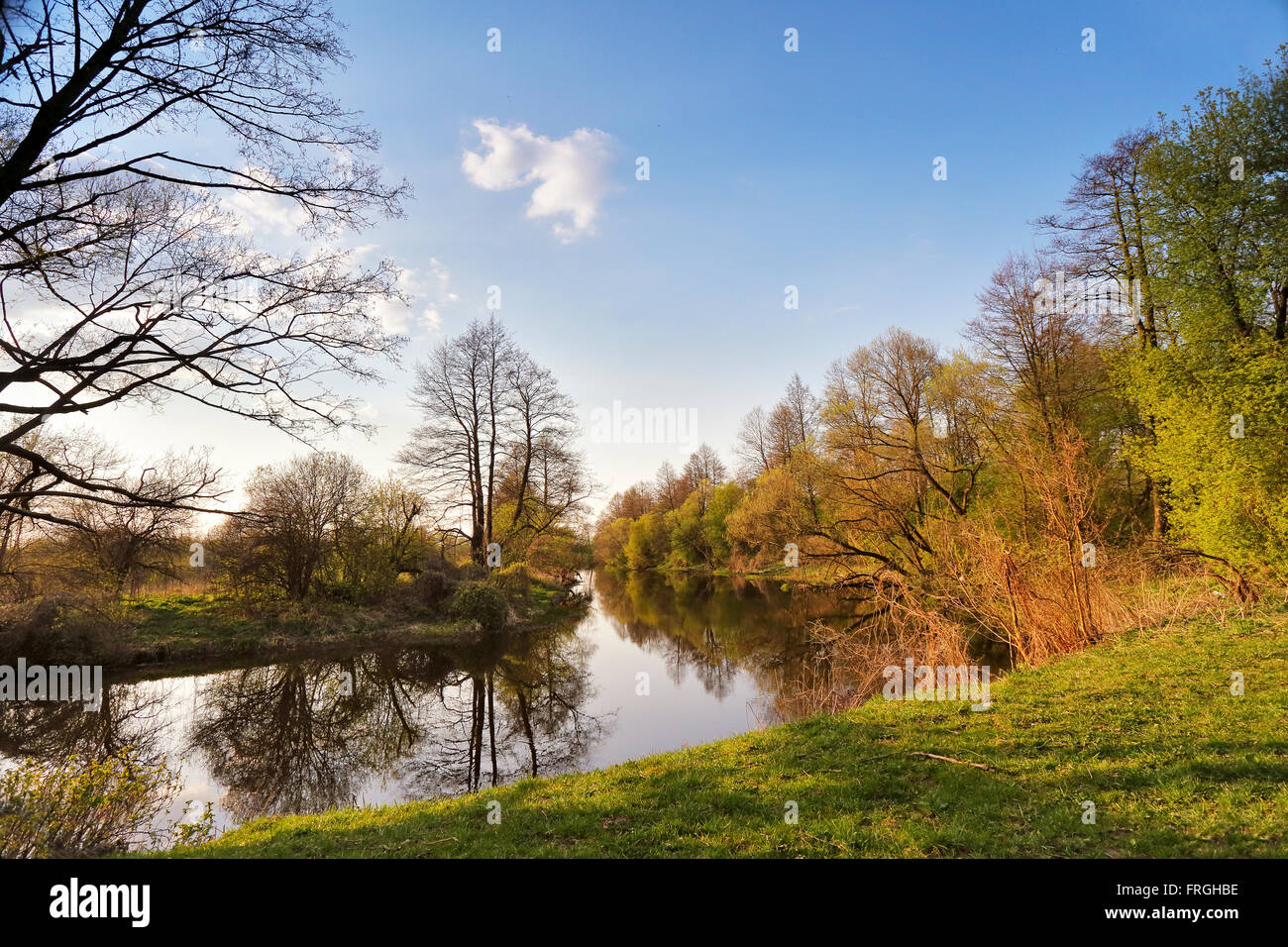 Sunny spring landscape. River in a green forest. Belarus Stock Photo ...