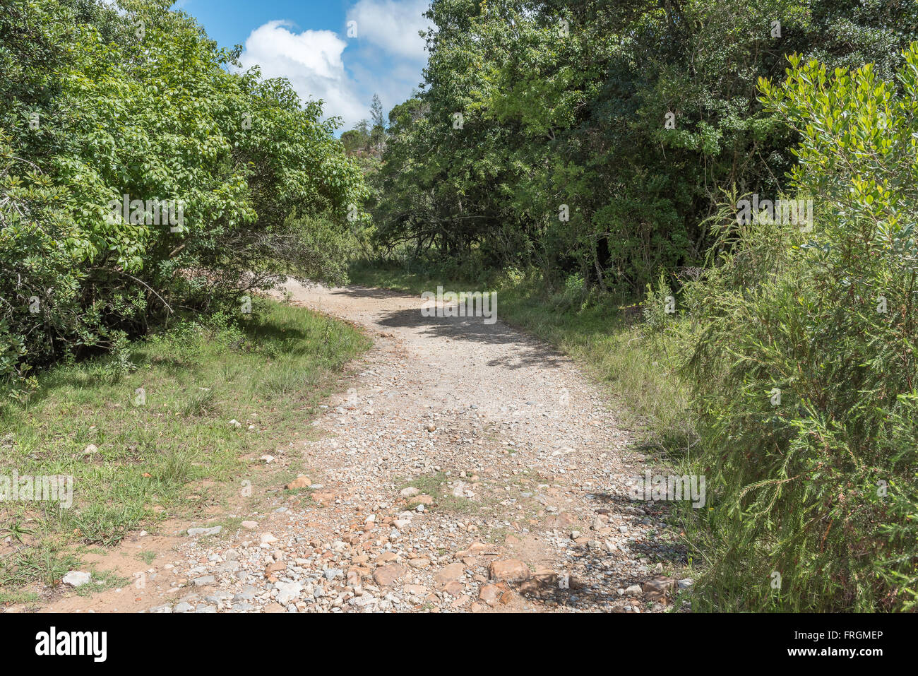 The view of the road surface of the historic Suurberg Pass in the ...