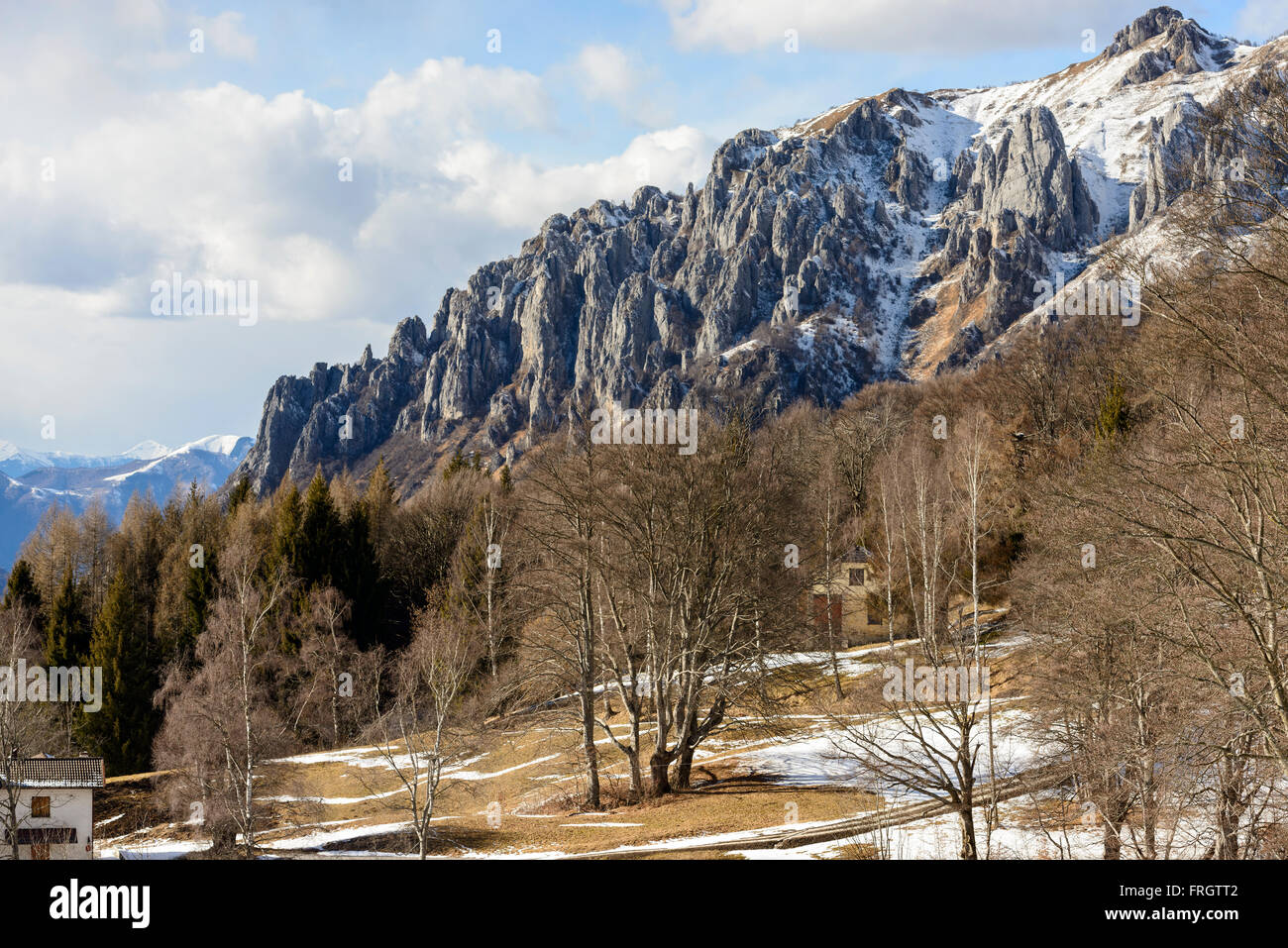 woods under Grigna peak western cliffs Stock Photo - Alamy