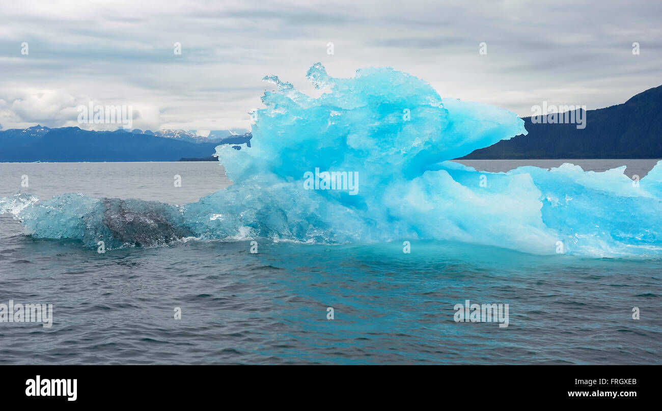 floating iceberg glacierbay alaska Stock Photo - Alamy