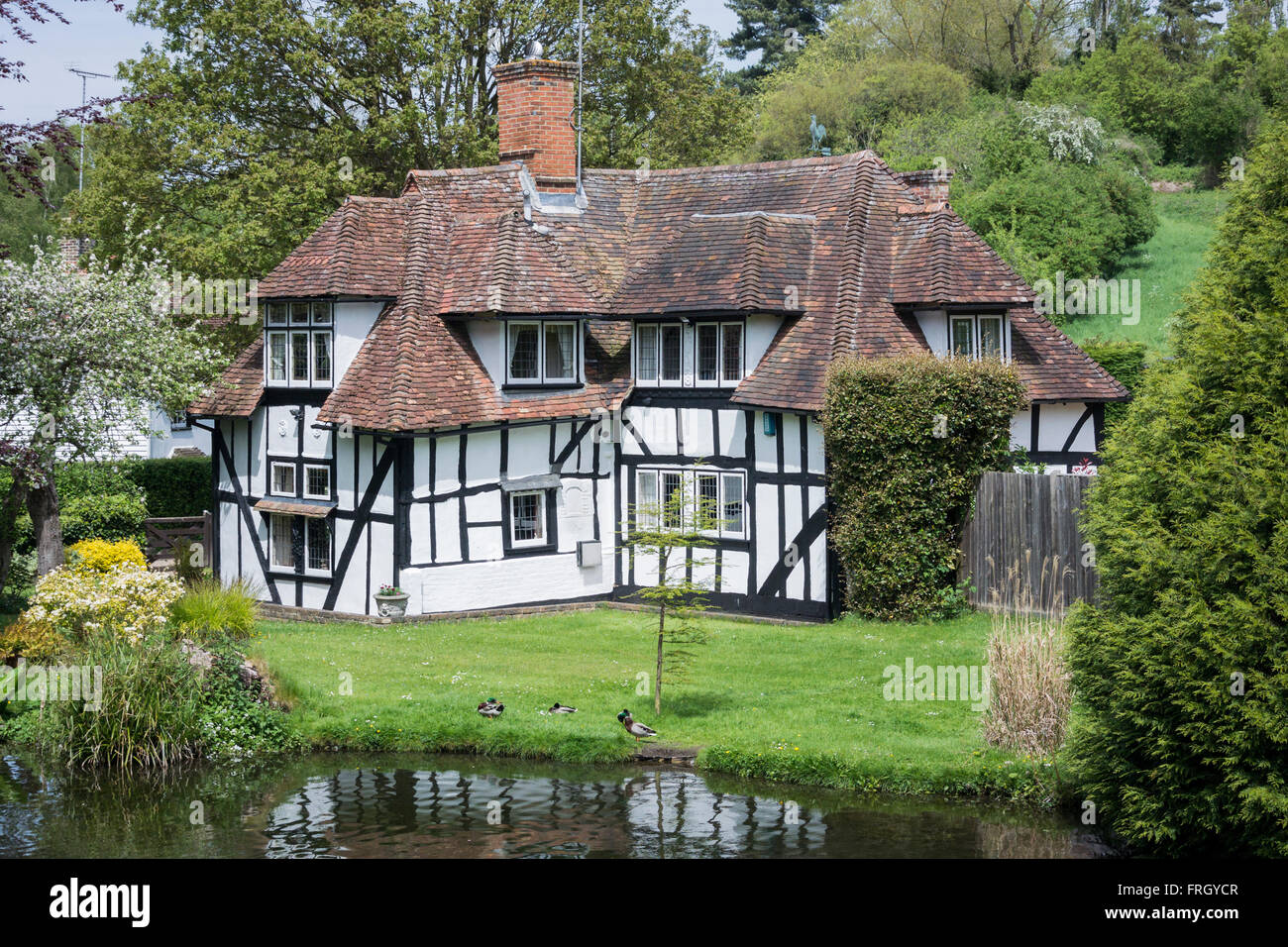 Pretty half timbered cottage in the village of Loose, Kent, UK with the ...