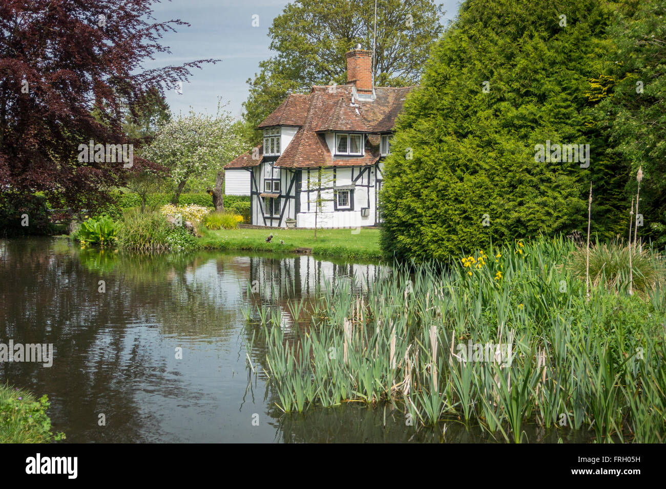 Pretty half timbered cottage in the village of Loose, Kent, UK with the ...