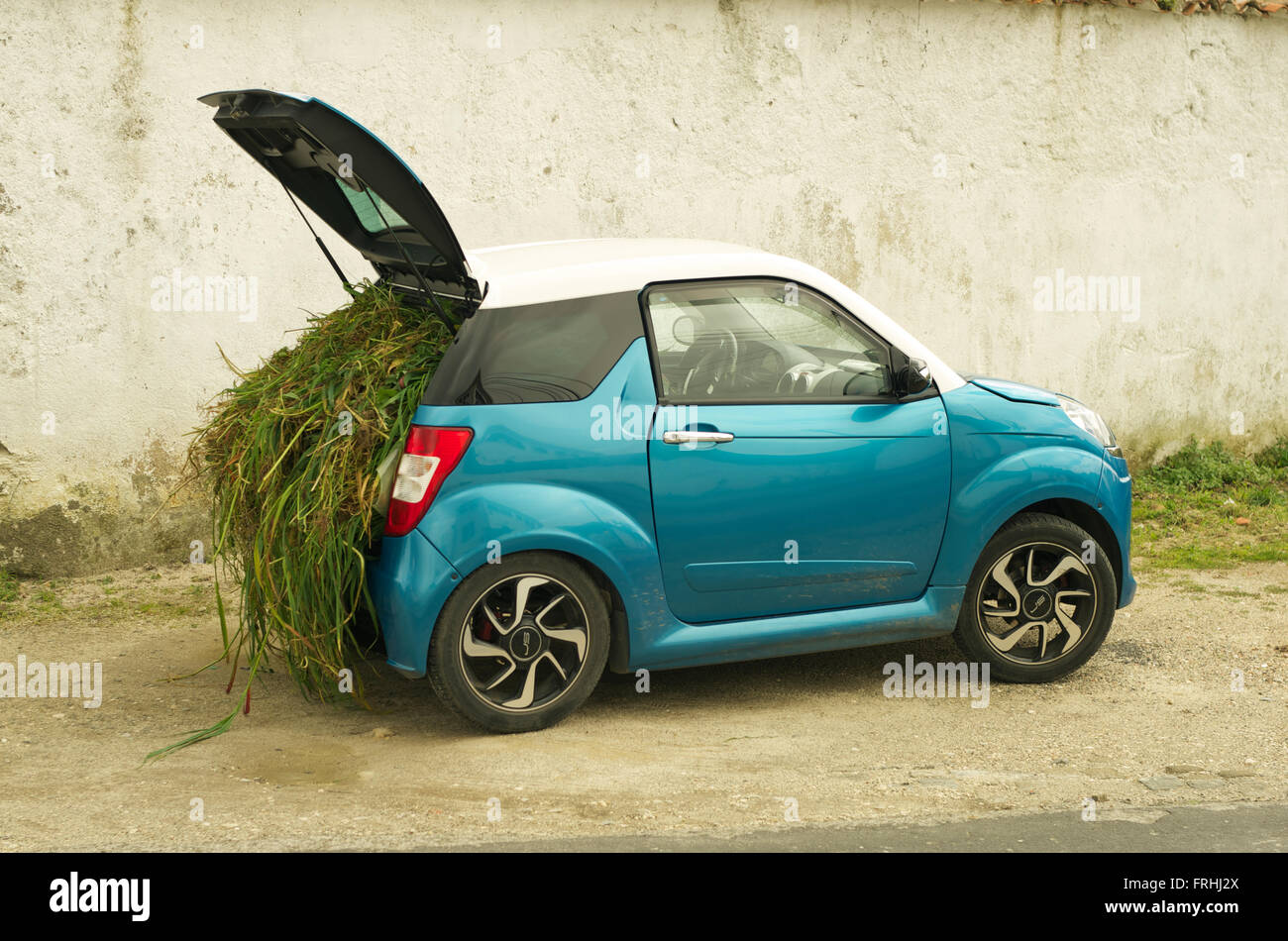 A small car loaded up with grass in the boot Stock Photo - Alamy