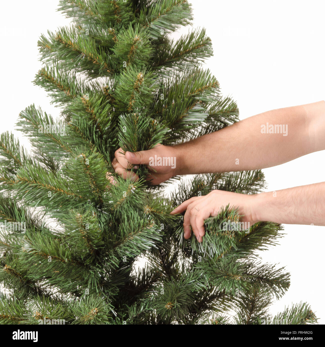 Artificial tree assembly hi-res stock photography and images - Alamy