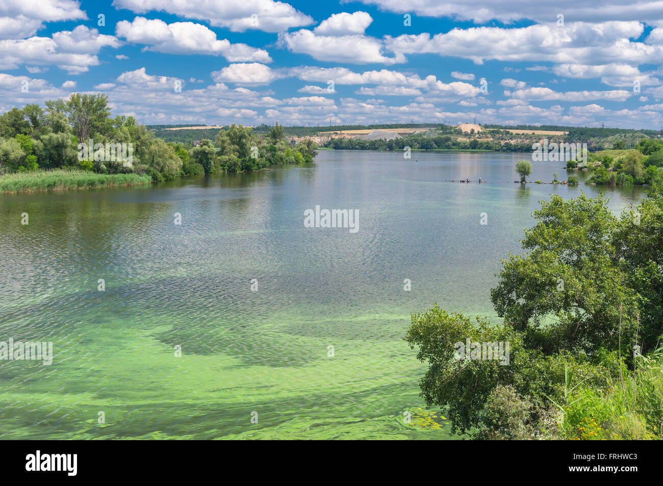 Summer landscape with Dnepr river covered with cyanobacterias near ...
