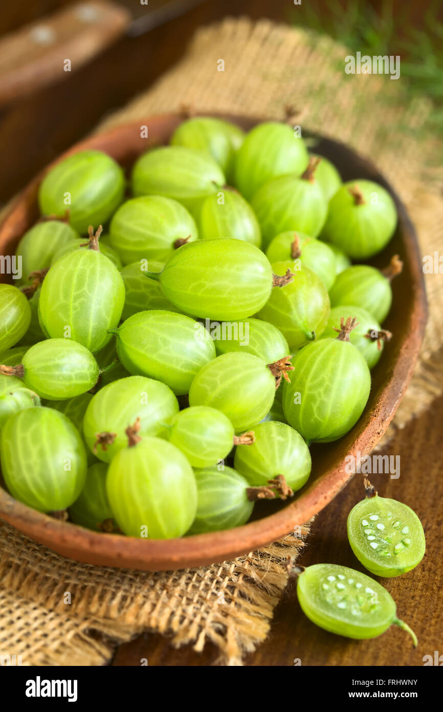 Raw gooseberries (lat. Ribes uva-crispa) in bowl photographed on dark ...