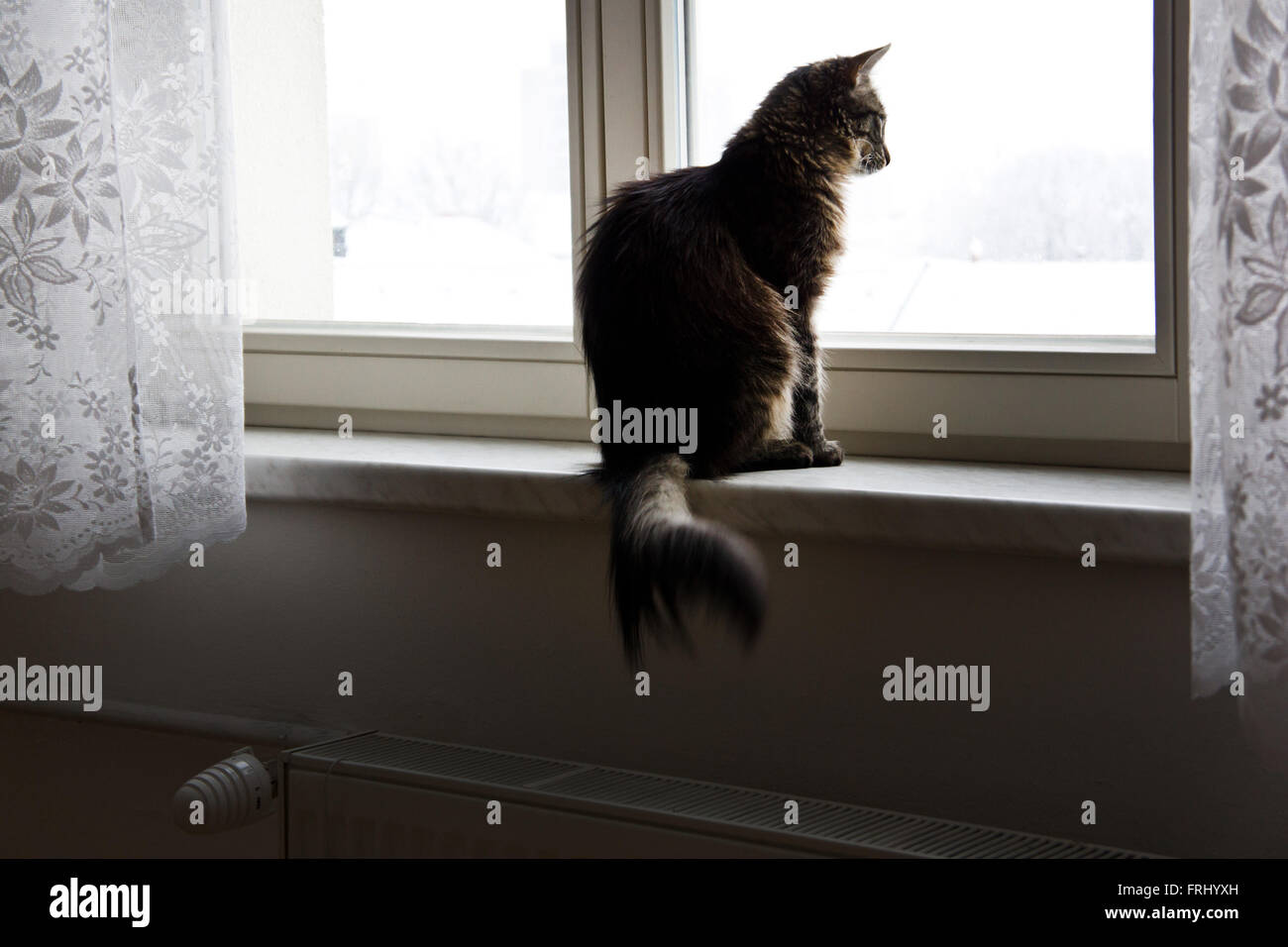 Domestic window hi-res stock photography and images - Alamy
