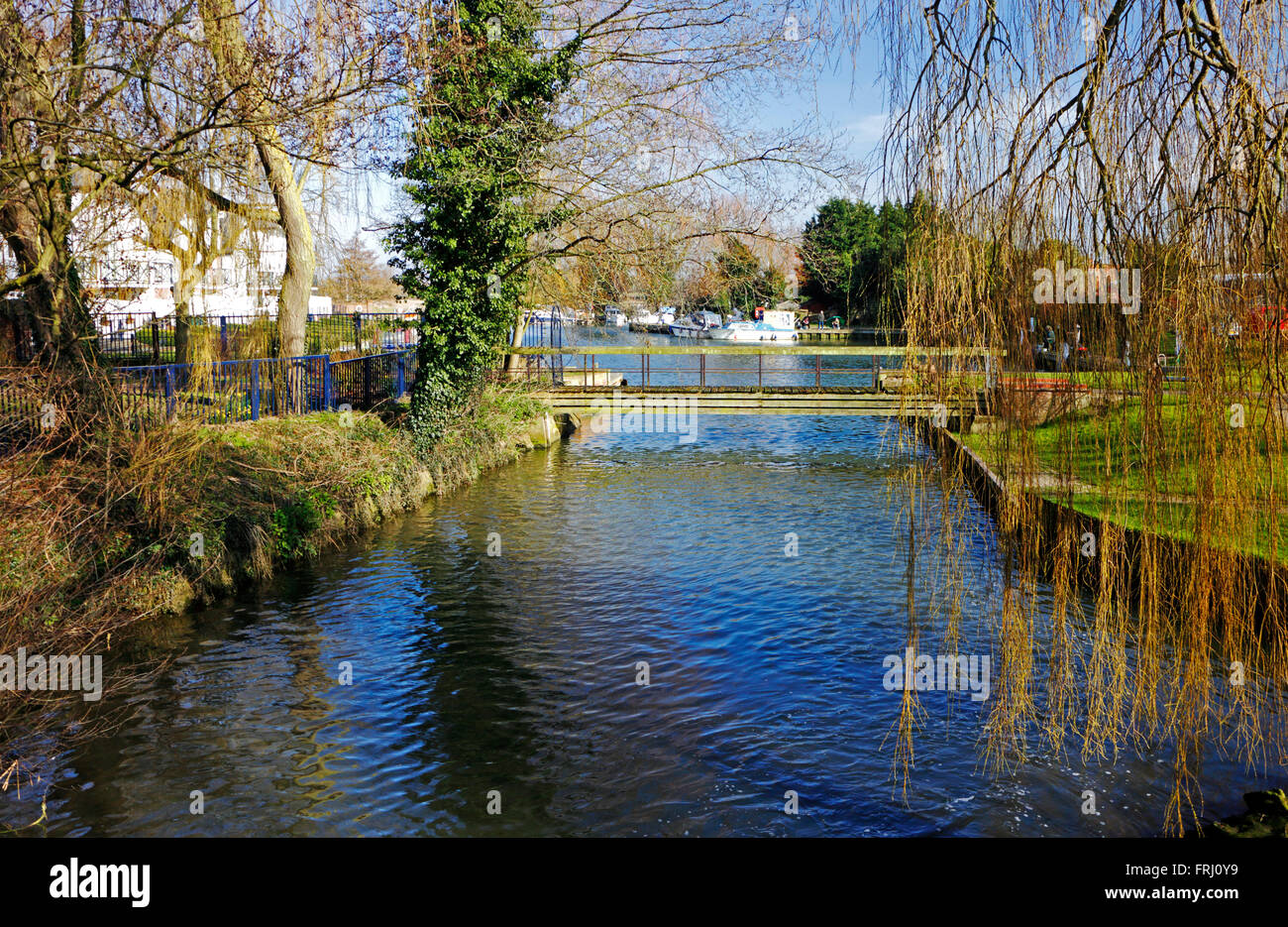 A view of the River Chet and the Staithe from the mill pool at Loddon ...