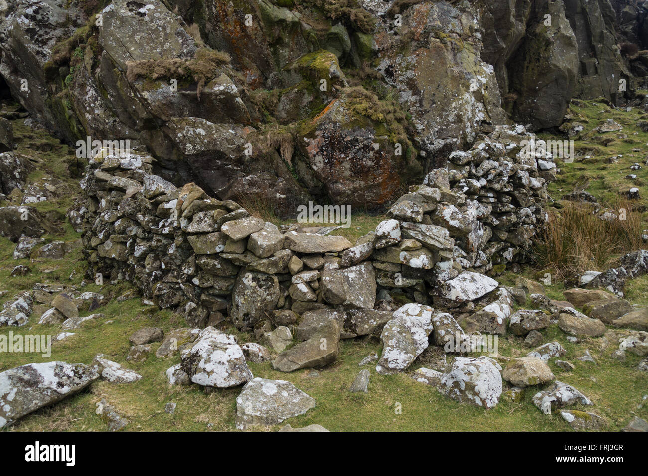 Sheepfold Stock Photos & Sheepfold Stock Images - Alamy