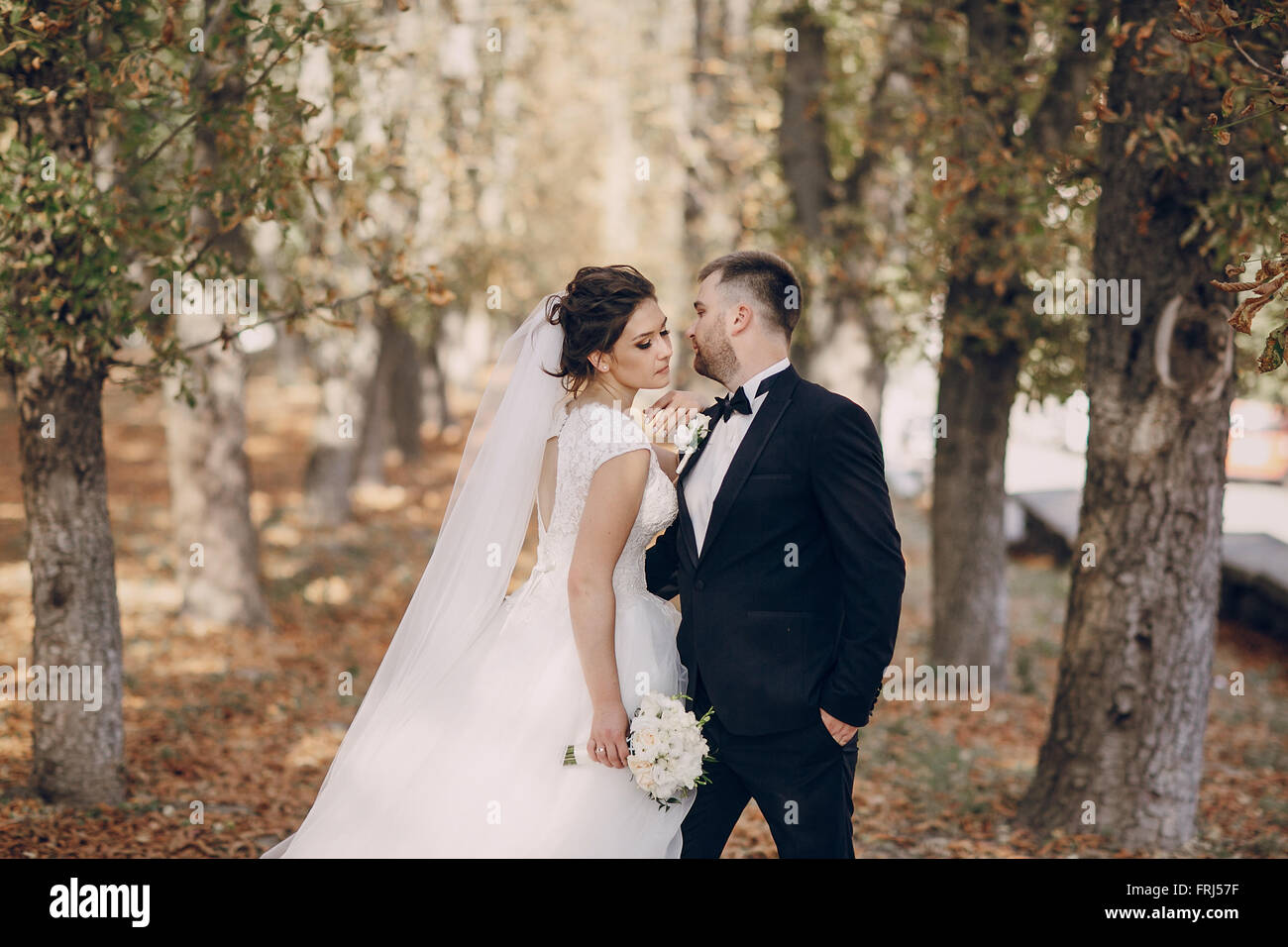 wedding day HD Stock Photo - Alamy