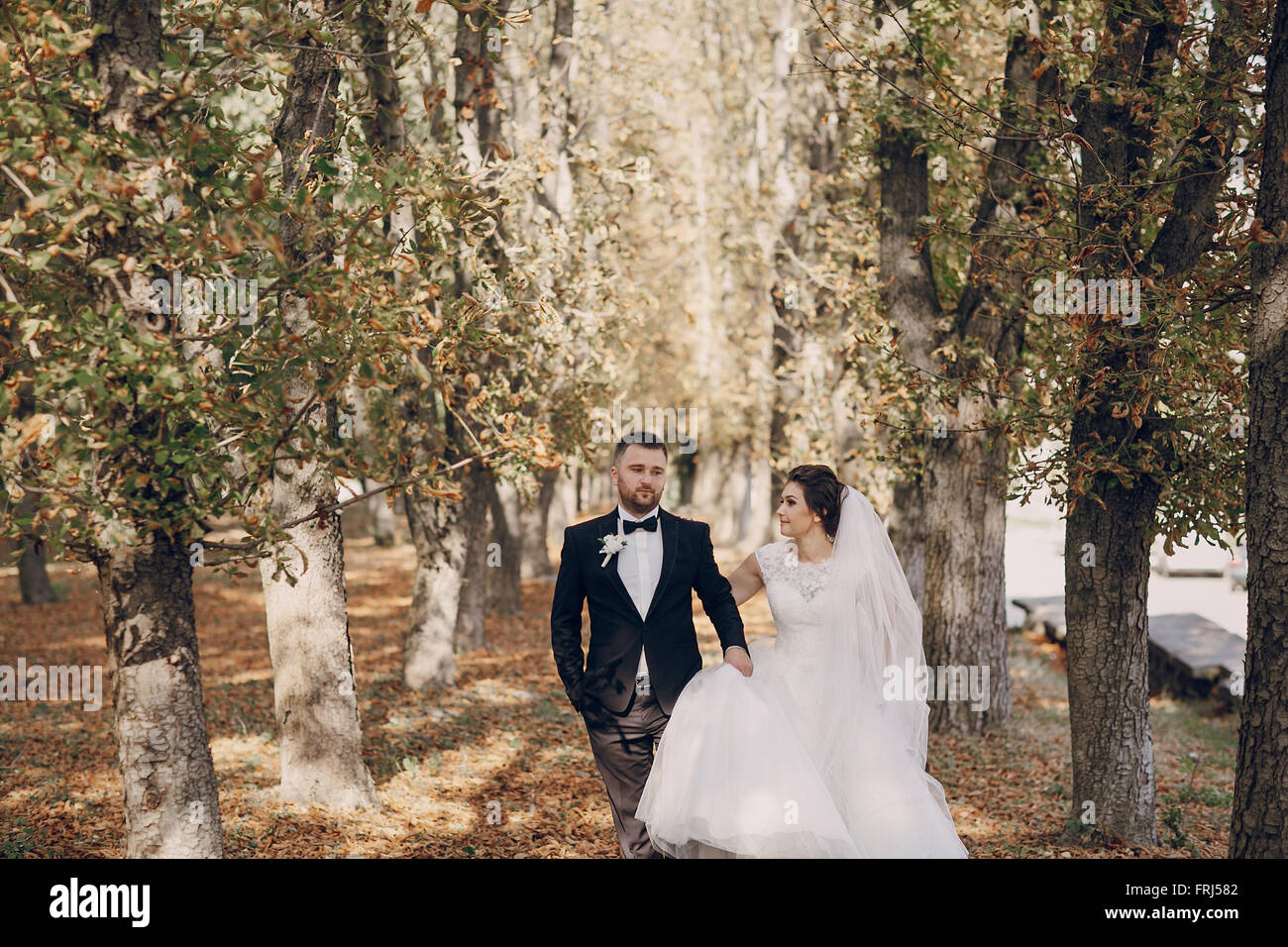 wedding day HD Stock Photo - Alamy