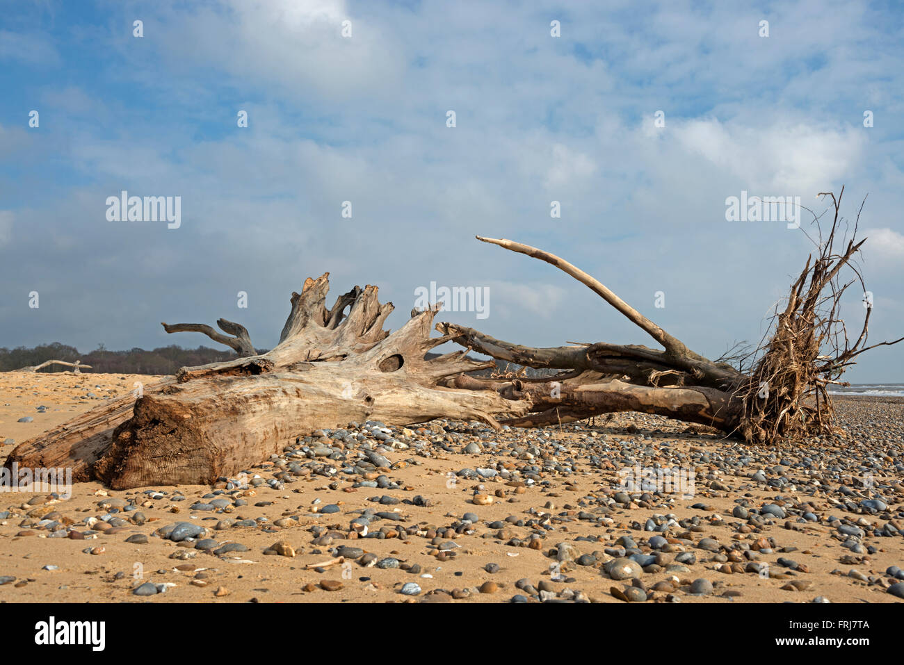 Uk coastal storm effects hi-res stock photography and images - Alamy