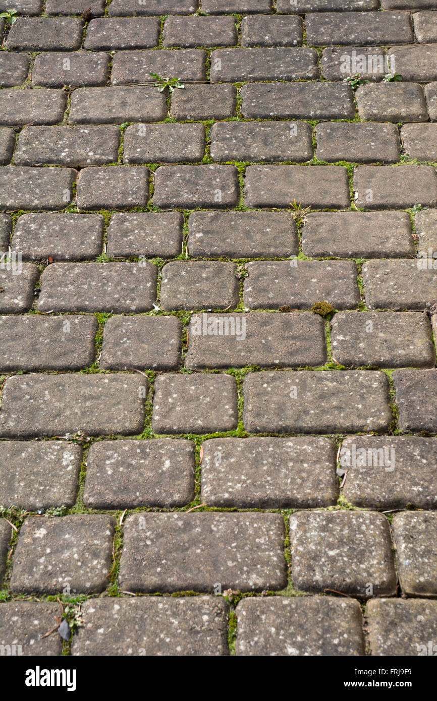 Garden path created from random paving Stock Photo - Alamy