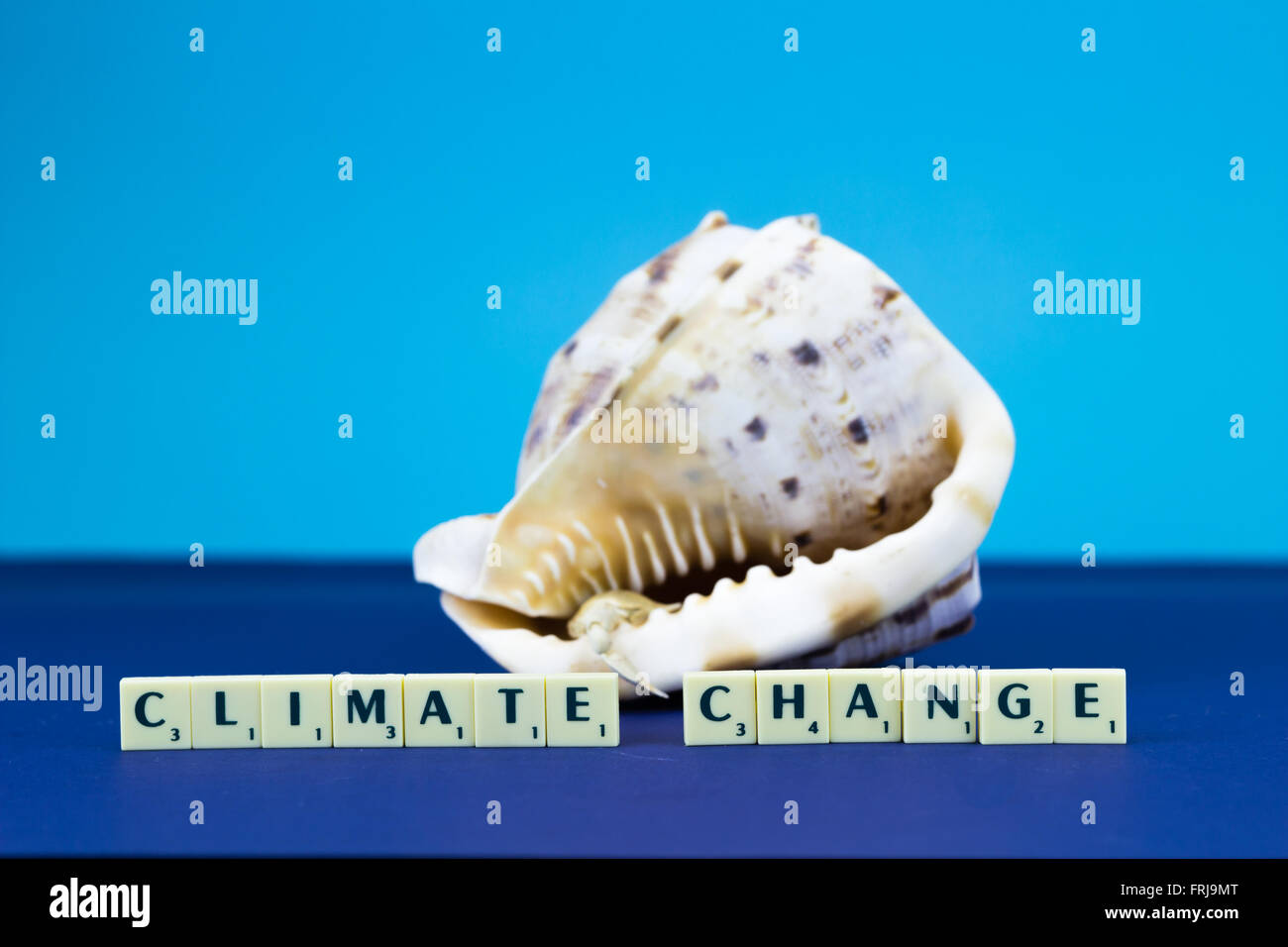 Crab in a seashell on blue background Stock Photo - Alamy