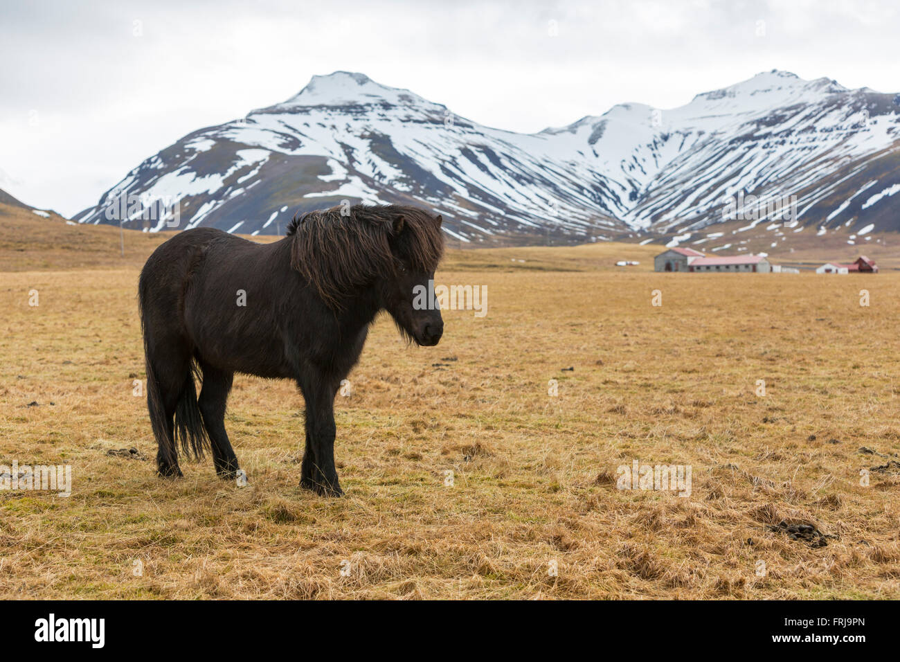Hardy hills hi-res stock photography and images - Alamy