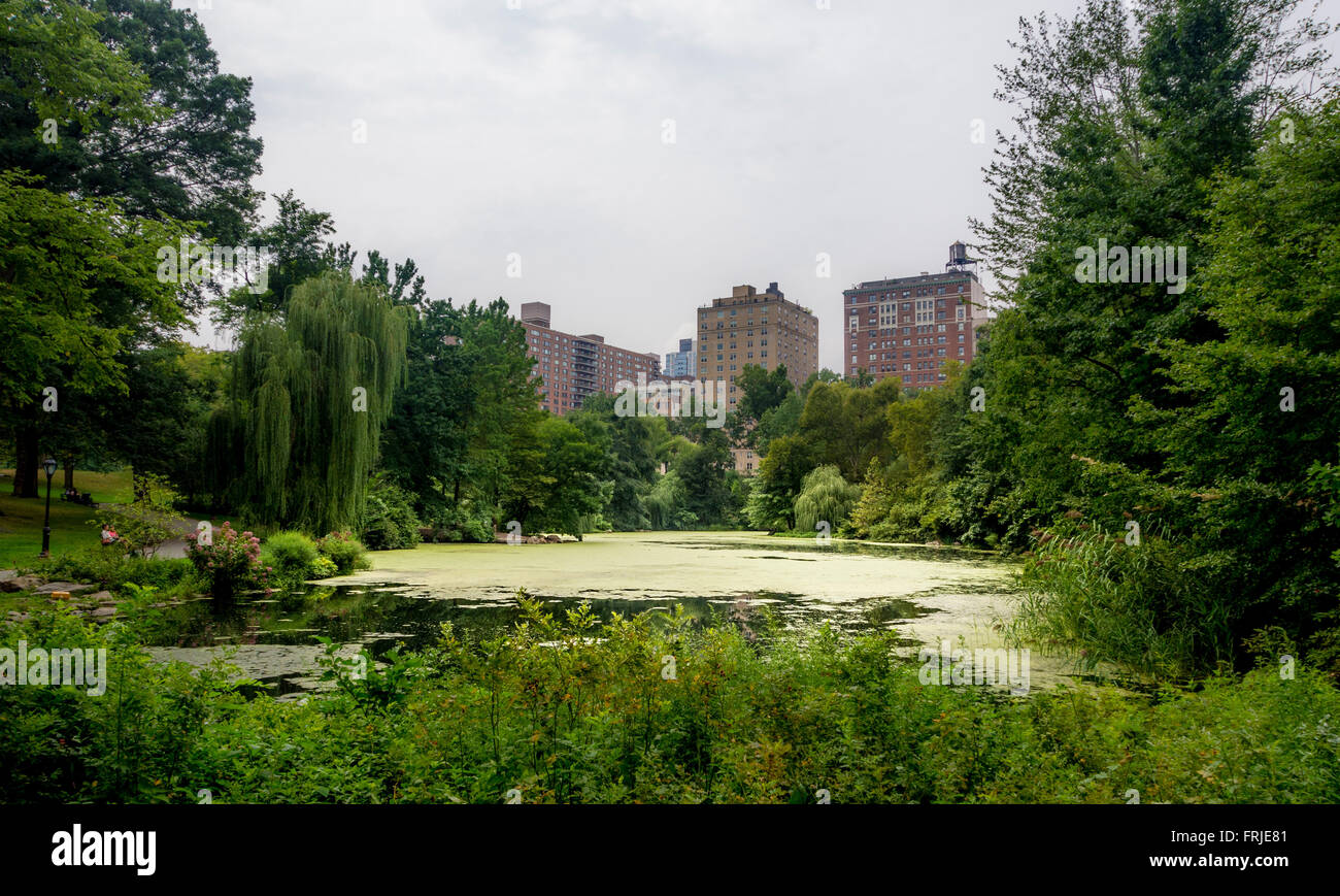 The Pool, Central Park, New York City, USA Stock Photo - Alamy