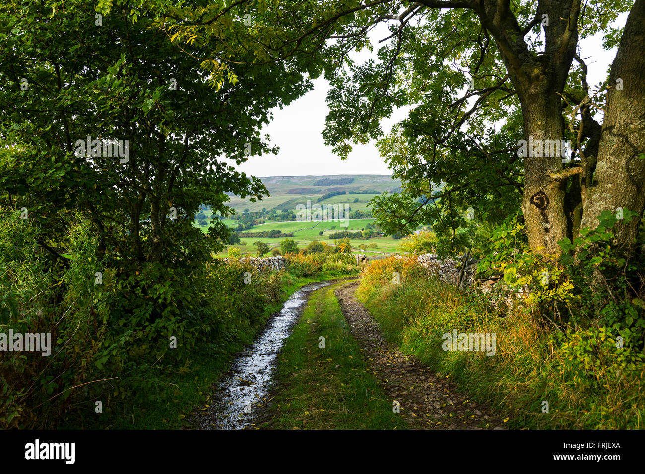 Country lane near Thornton Rust, Wensleydale, Yorkshire Dales, England ...