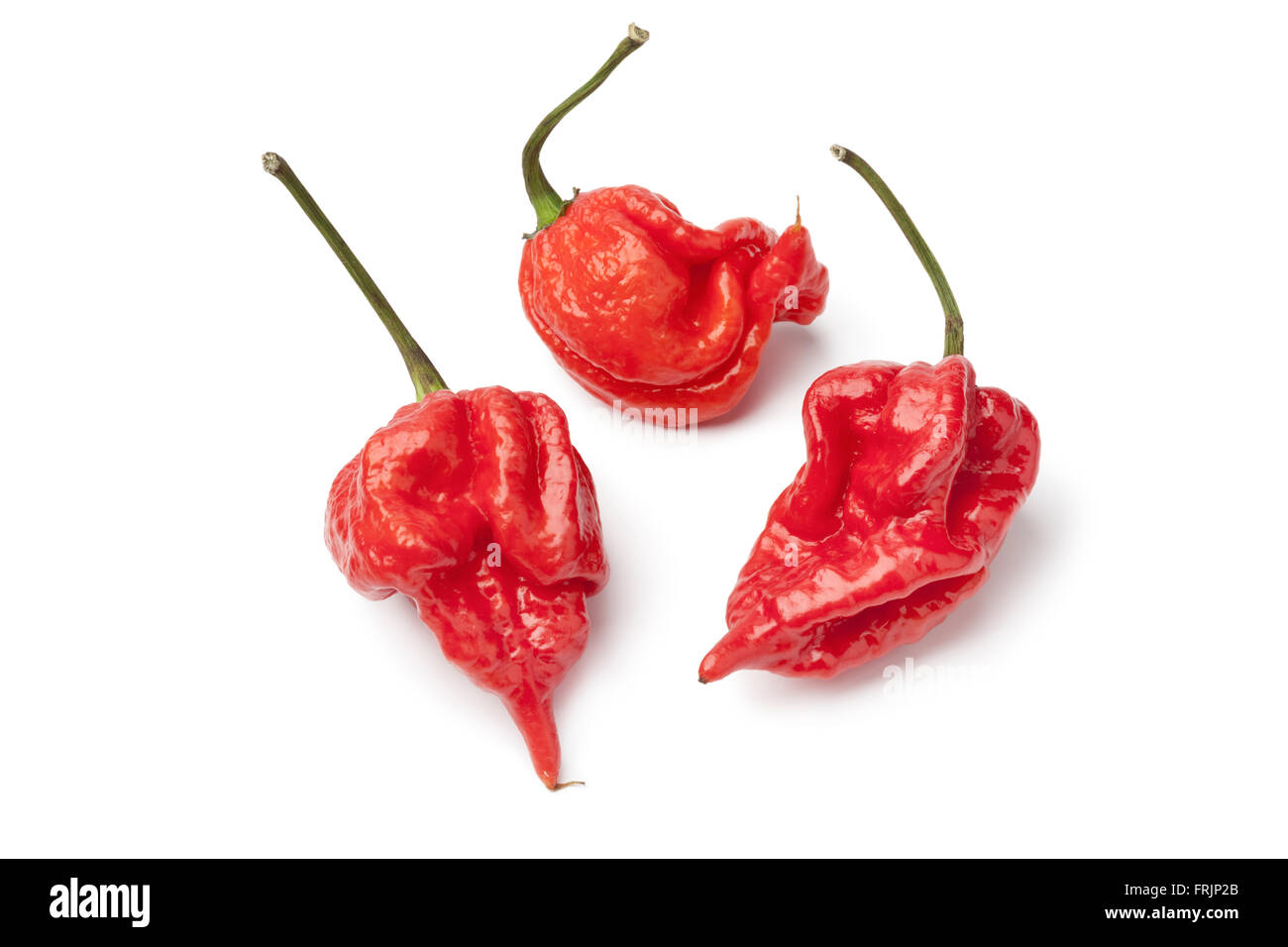 Moruga Scorpion Pepper