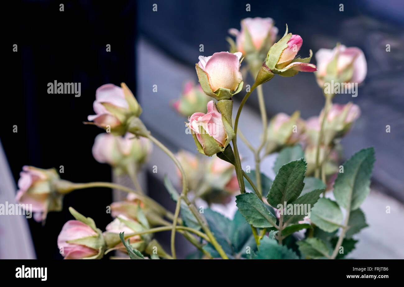 Real and artificial hi-res stock photography and images - Alamy