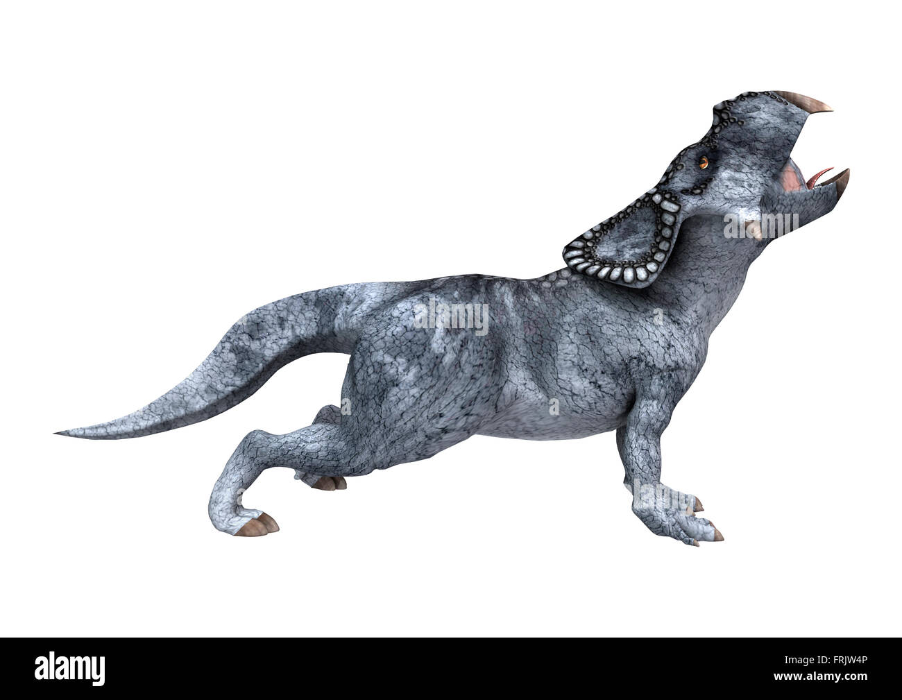 Digital render of a dinosaur protoceratops isolated on white background ...