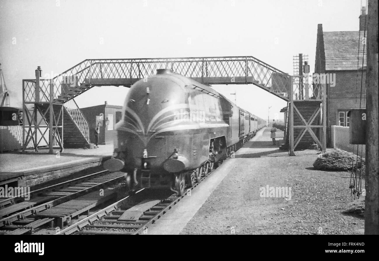 Coronation scot hi-res stock photography and images - Alamy
