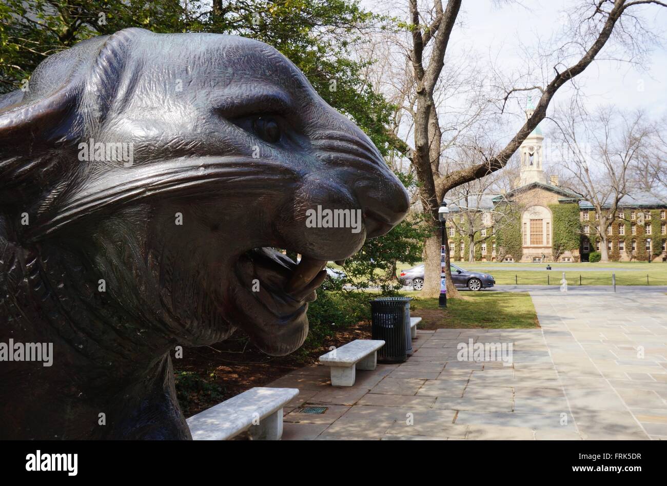 Campus princeton university ivy hi-res stock photography and images - Alamy