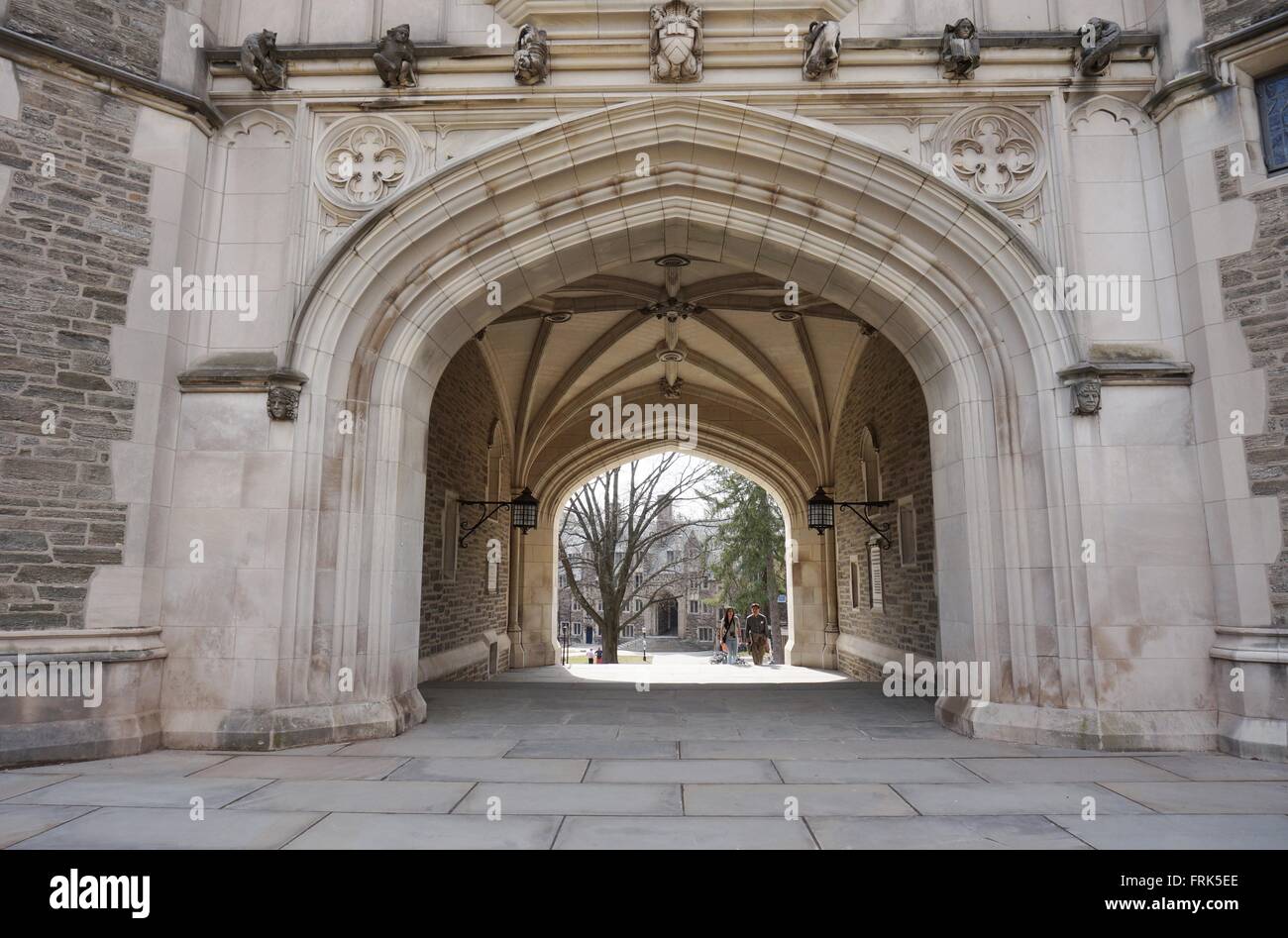 The campus of Princeton University, an Ivy League school in Princeton ...