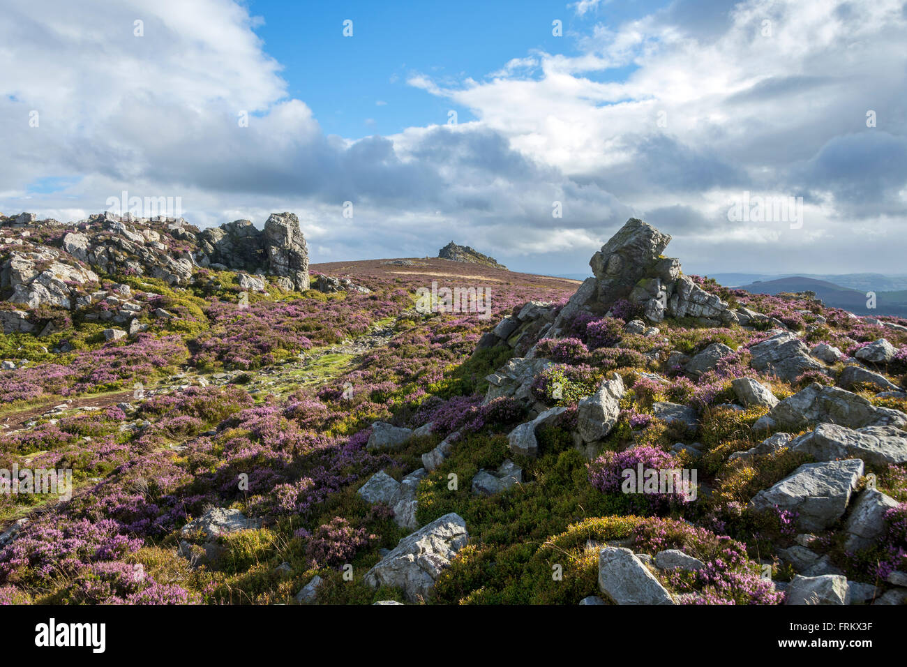 Manstone Rock from the Devil's Chair rocks on the Stiperstones Ridge ...
