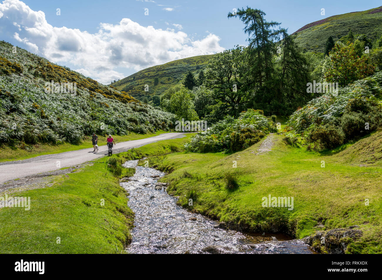 Carding mill valley hi-res stock photography and images - Alamy