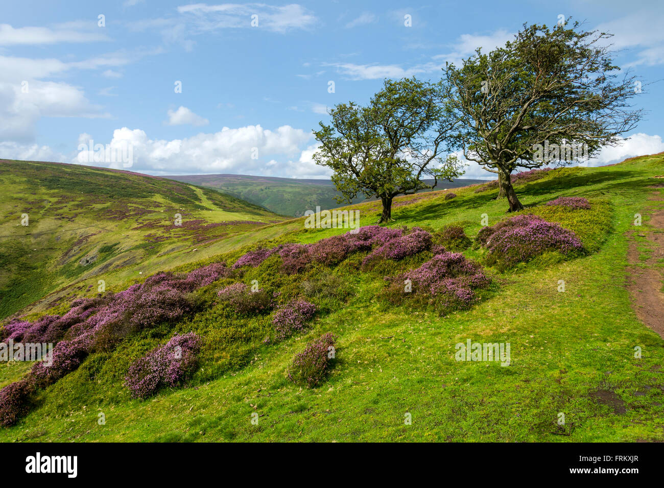 Long mynd hi-res stock photography and images - Alamy
