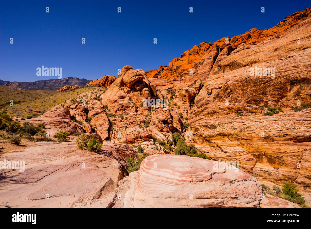 Valley of Fire - great landscapes Stock Photo - Alamy