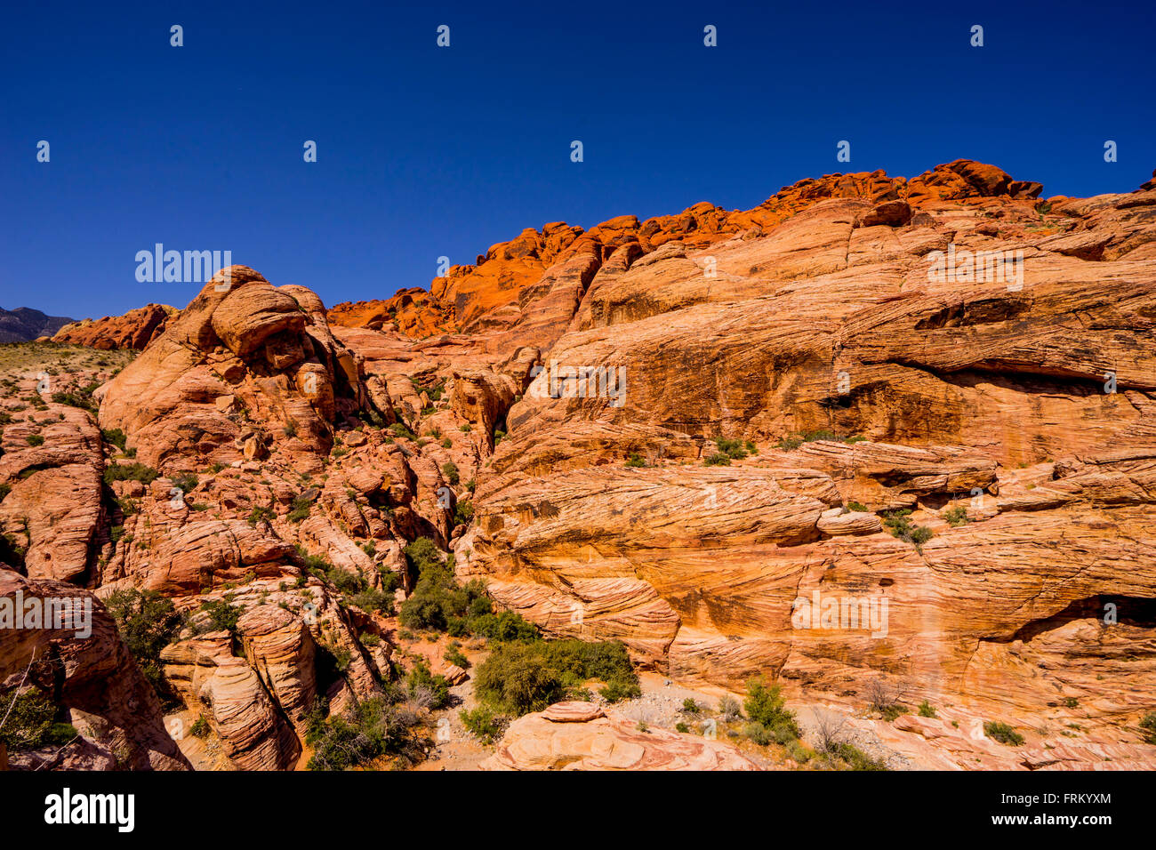 Valley of Fire - great landscapes Stock Photo - Alamy