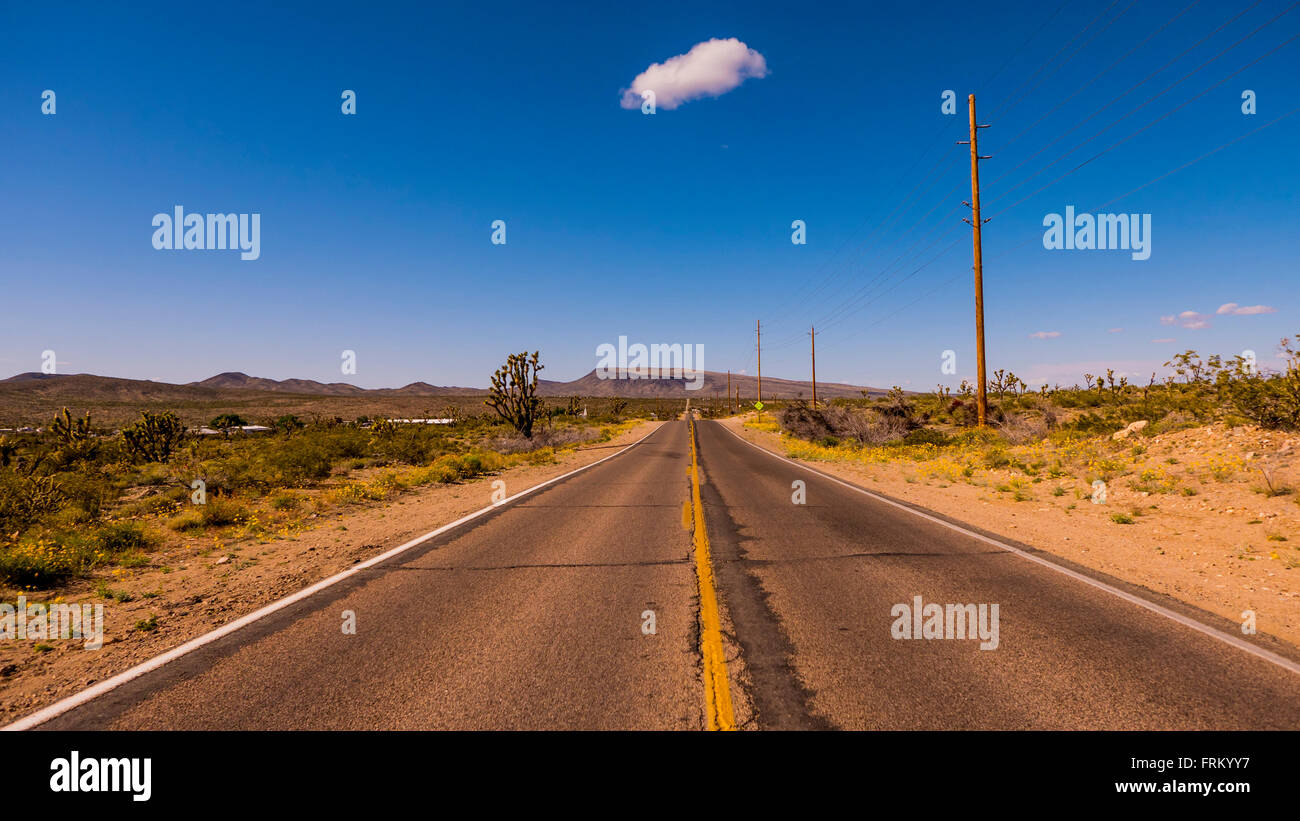Long and empty lonesome road through Arizona Stock Photo - Alamy