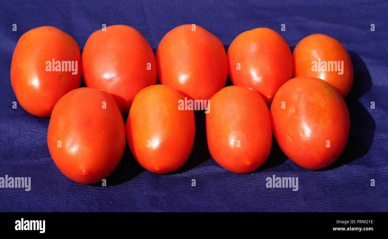 Macro photo red tomatoes hi-res stock photography and images - Alamy