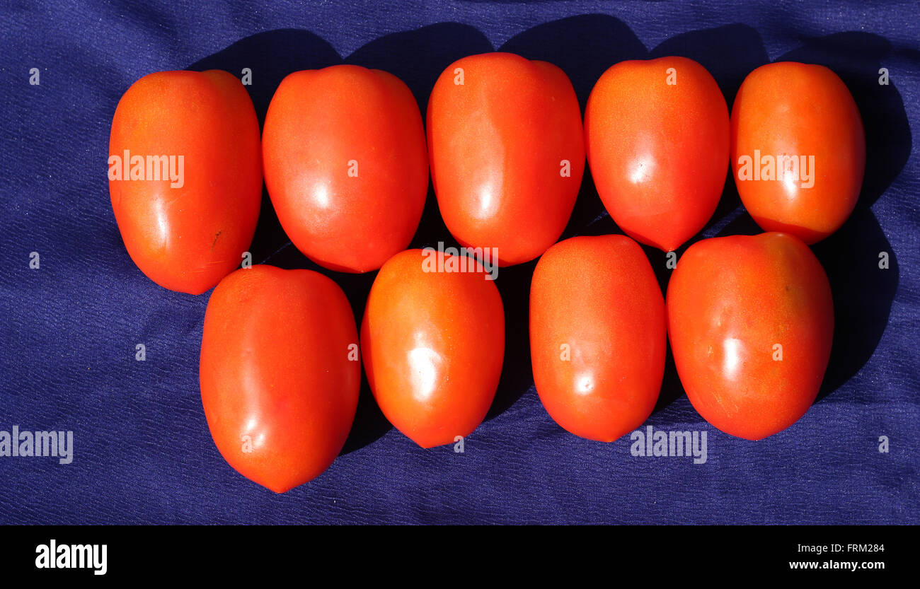 Macro photo red tomatoes hi-res stock photography and images - Alamy