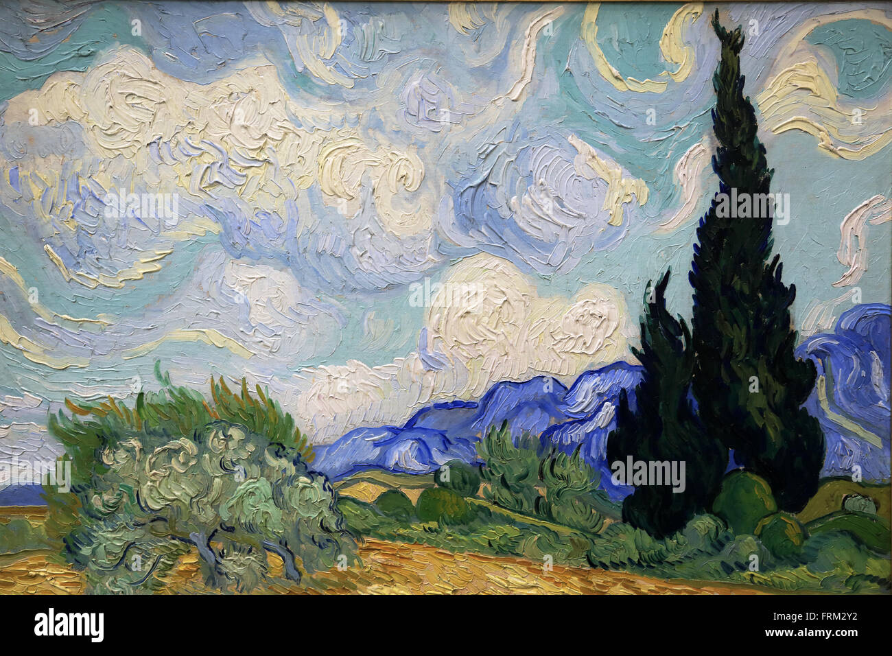 Van Gogh Tree Stock Photos & Van Gogh Tree Stock Images - Alamy