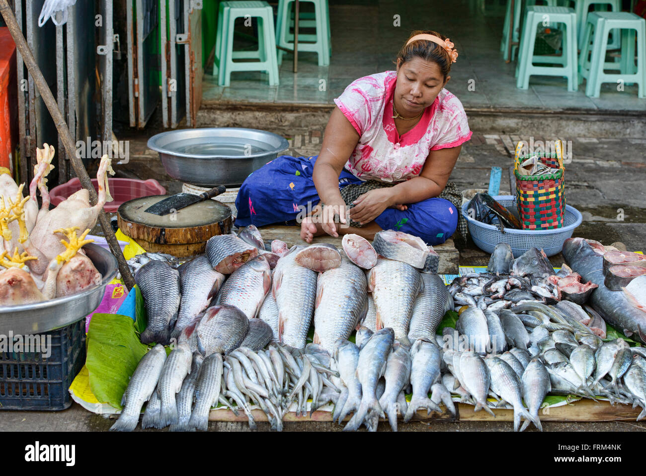 Fish seller at the Thiri Mingala Market in Yangon, Myanmar Stock Photo ...