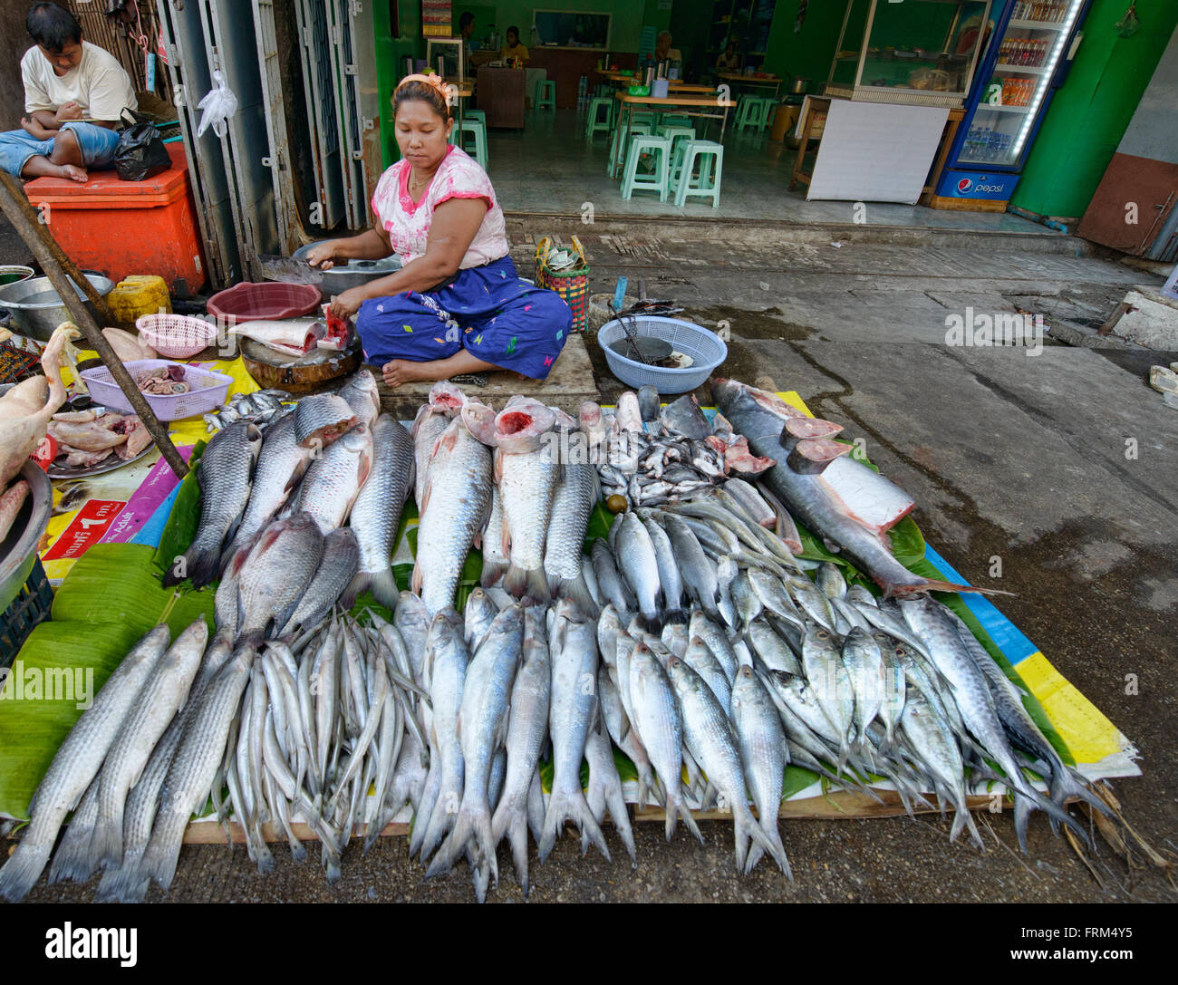 Fish seller at the Thiri Mingala Market in Yangon, Myanmar Stock Photo ...