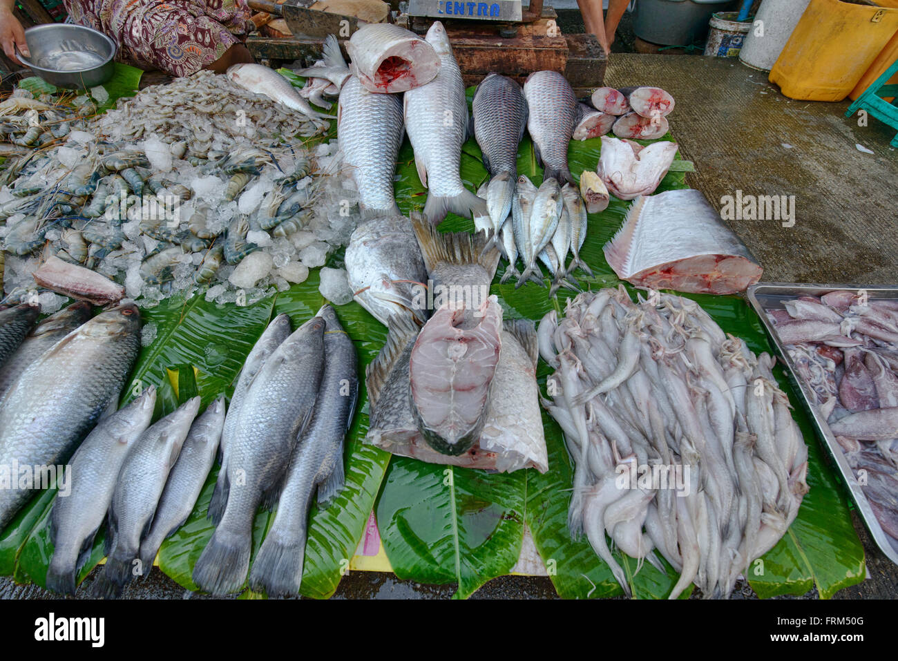 Fish market yangon myanmar hi-res stock photography and images - Alamy