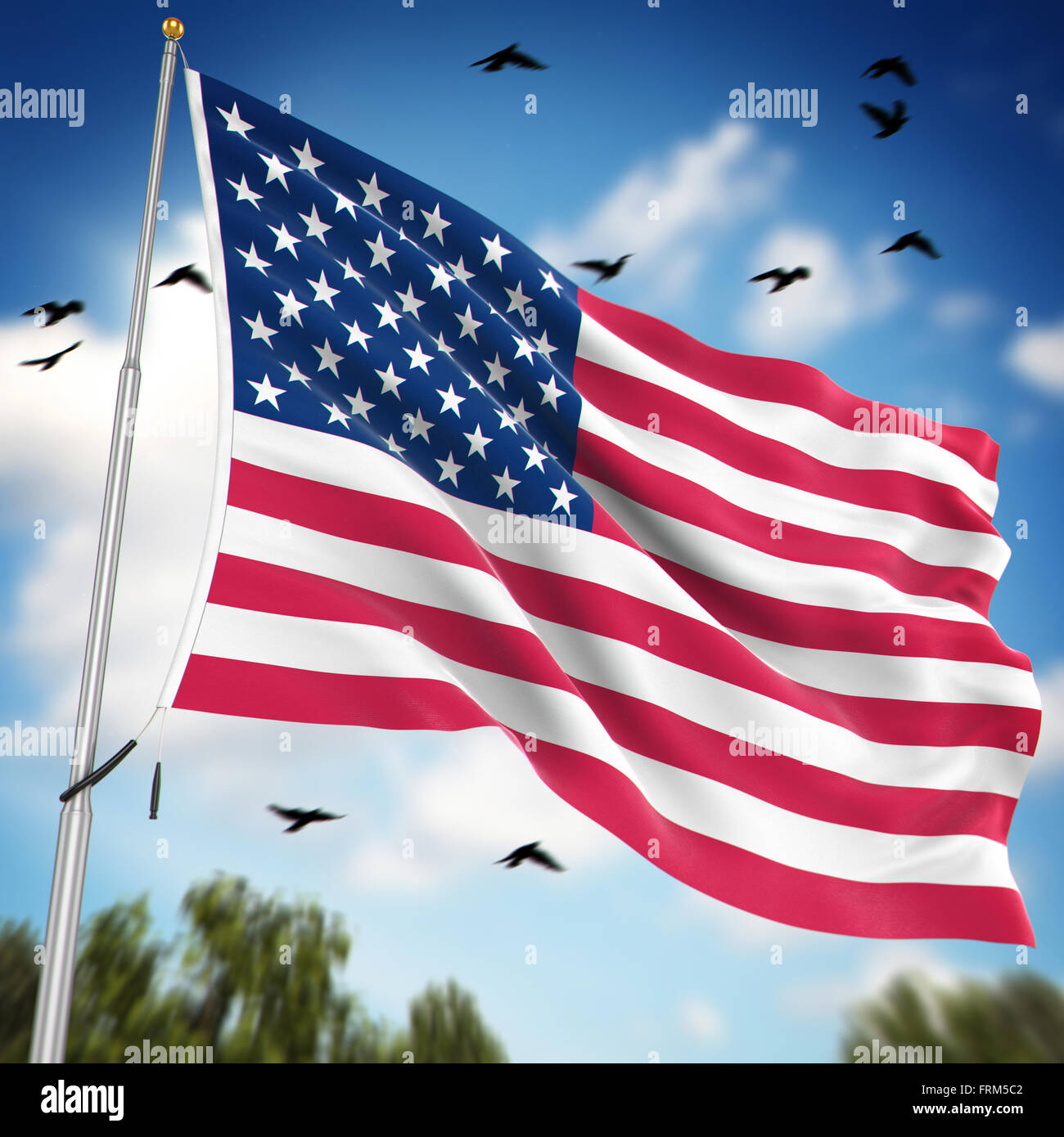 United state flag hi-res stock photography and images - Alamy