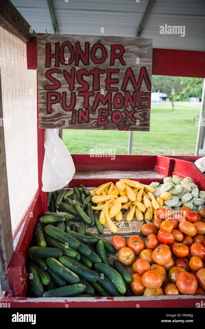 Country Vegetable Stand