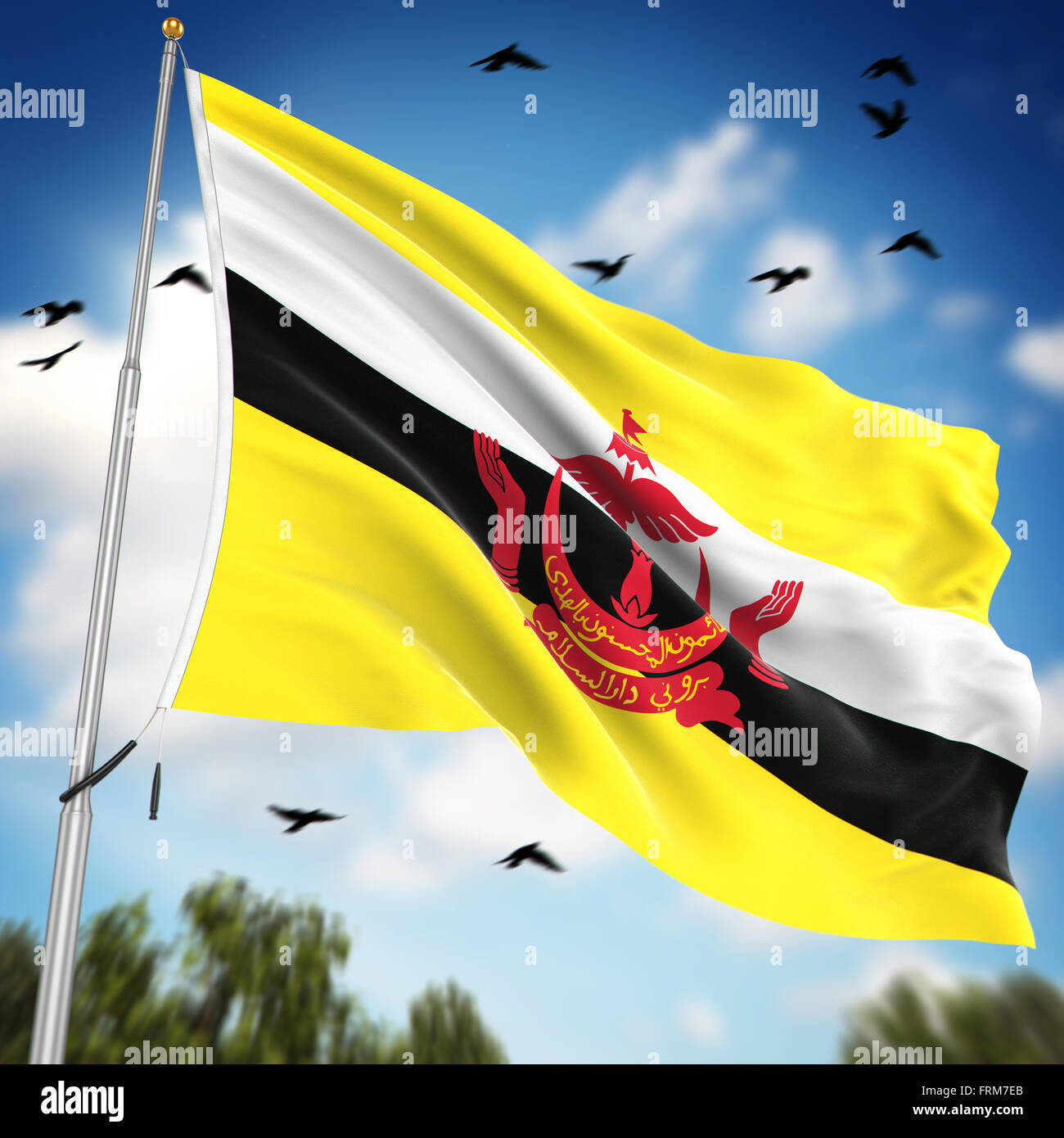 Brunei flag hi-res stock photography and images - Alamy