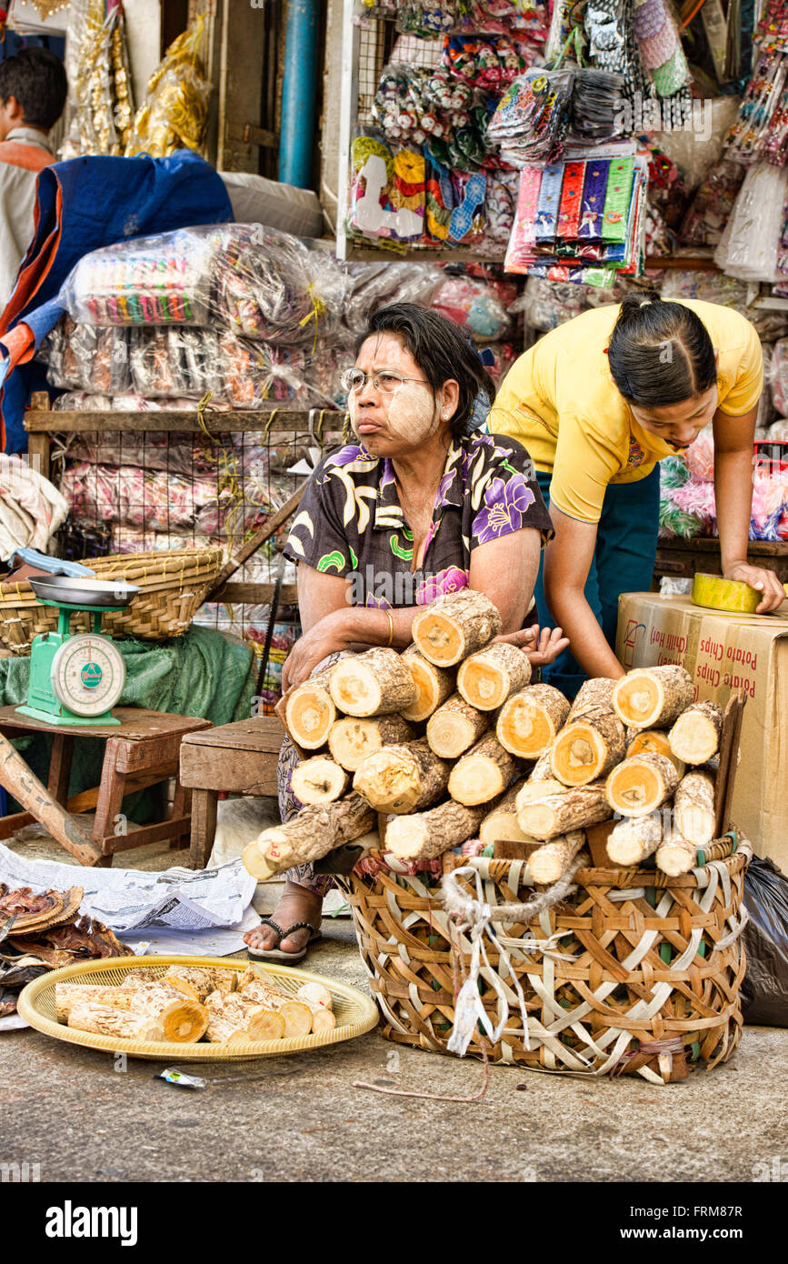 Thanaka bark hi-res stock photography and images - Alamy