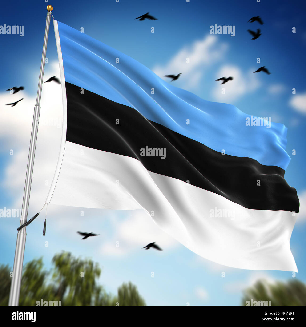 Flag of Estonia , This is a computer generated and 3d rendered image ...