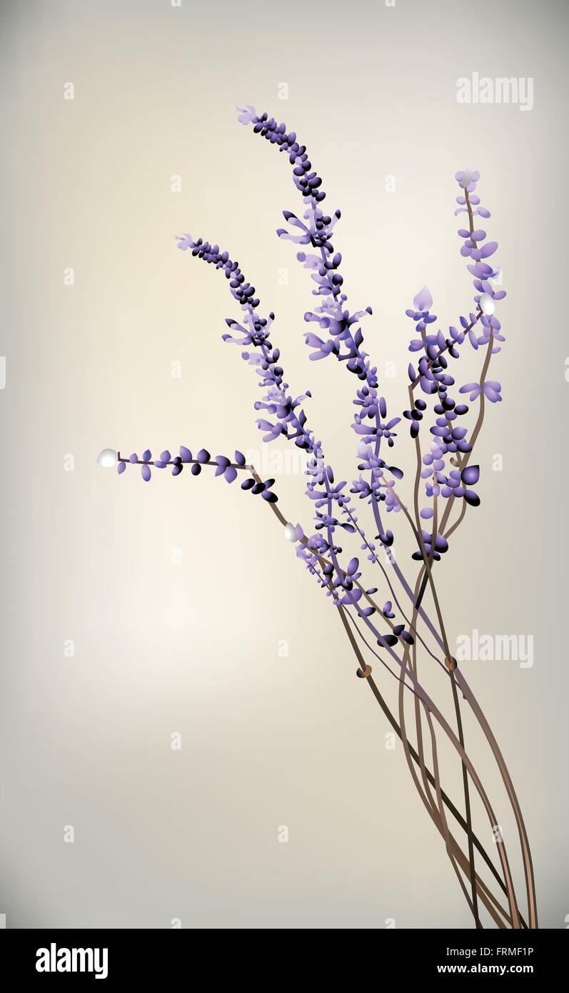 Lavender Cut Stock Vector Images - Alamy