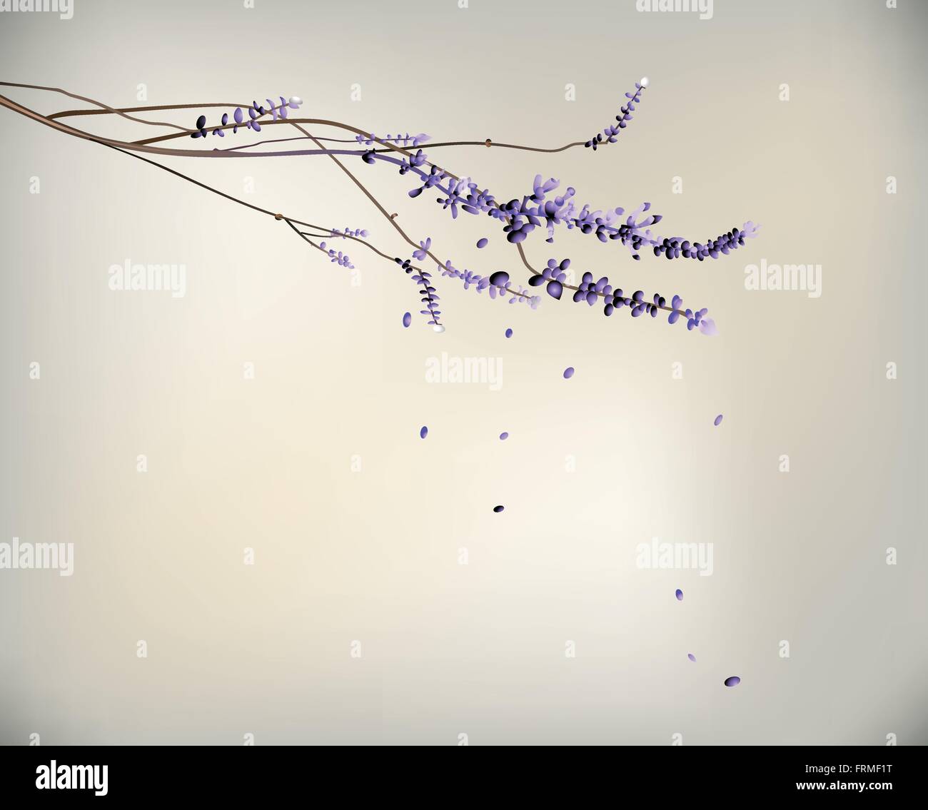 Lavender Cut Stock Vector Images - Alamy