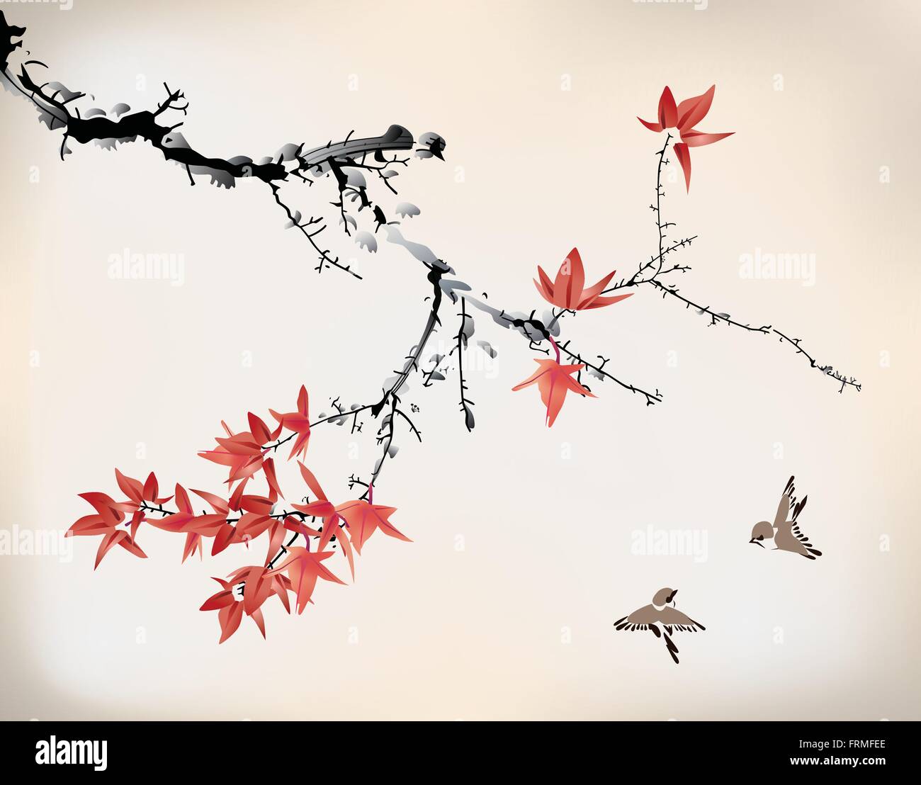 Birds in maple hi-res stock photography and images - Alamy
