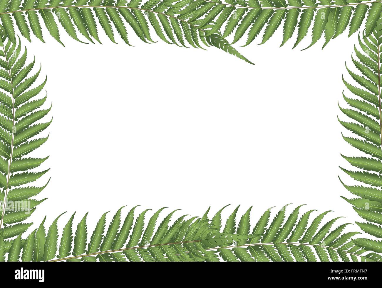 New zealand plant Stock Vector Images - Alamy