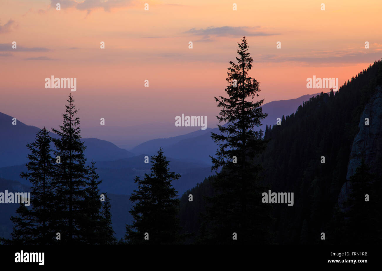 Summer morning mountain landscape Stock Photo - Alamy